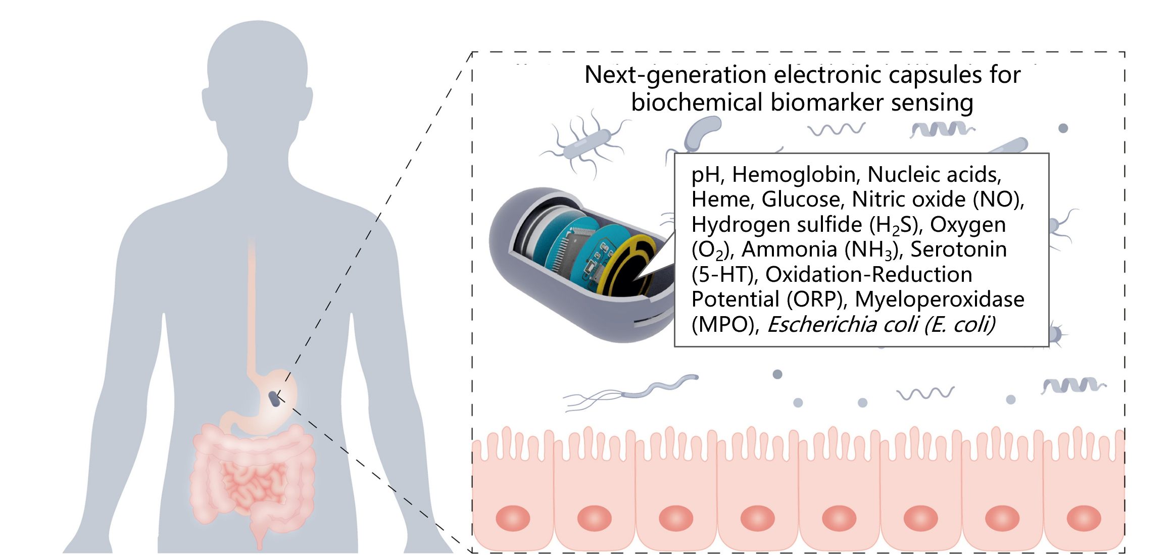 Lab of Flexible & Bioelectronics Manufacturing