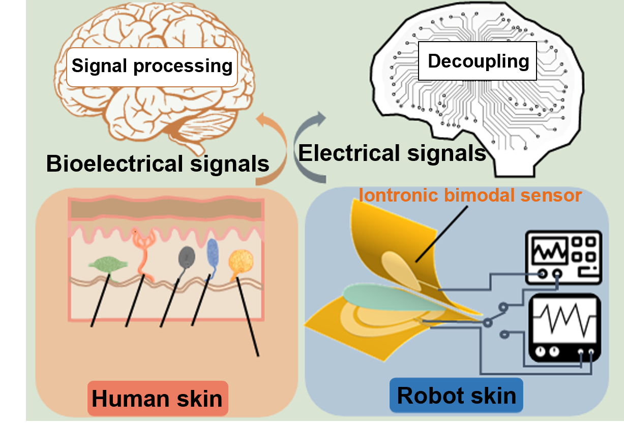 Lab Of Flexible And Bioelectronics Manufacturing