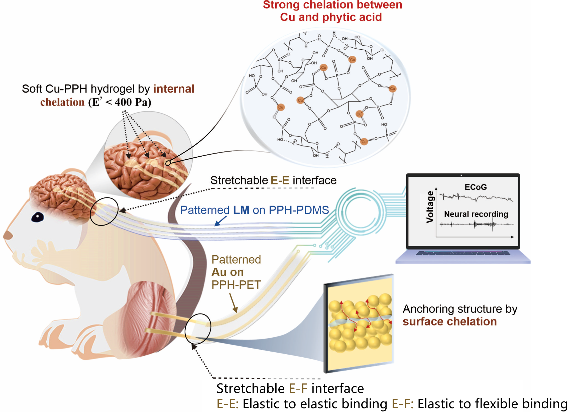 Lab of Flexible & Bioelectronics Manufacturing