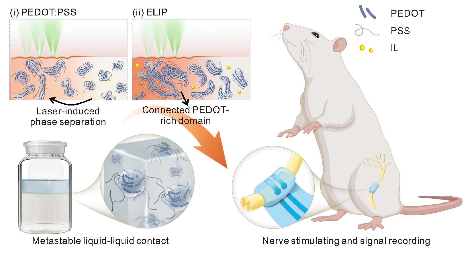 Lab of Flexible & Bioelectronics Manufacturing